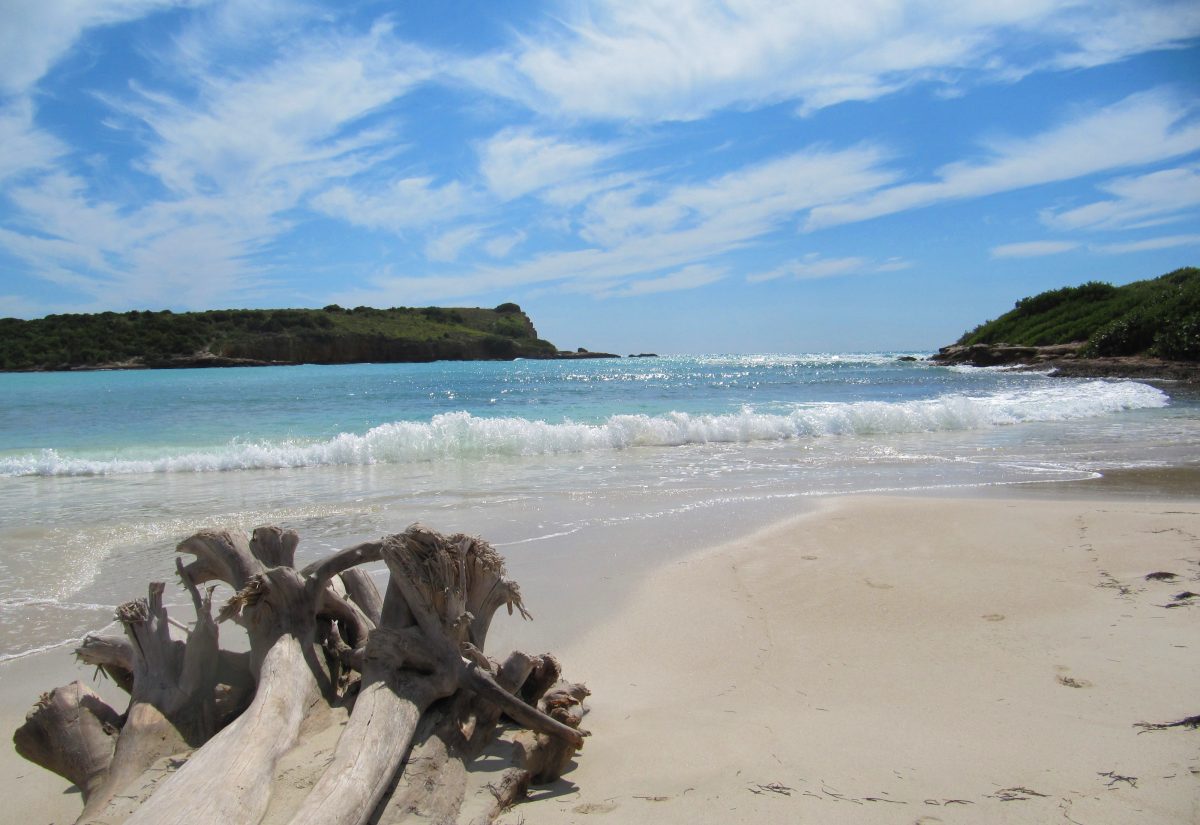 5 things you have to see in Puerto Rico - Travel with Anda