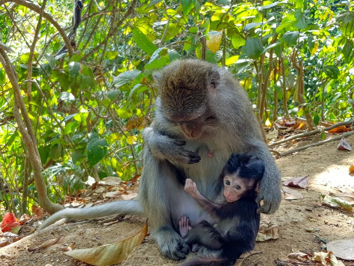 5 things to see in Lombok (with travel tips) - Travel with Anda