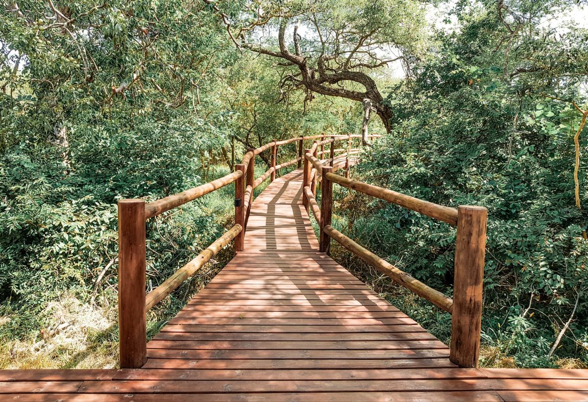 Vuyani River Lodge review: Travel with Anda