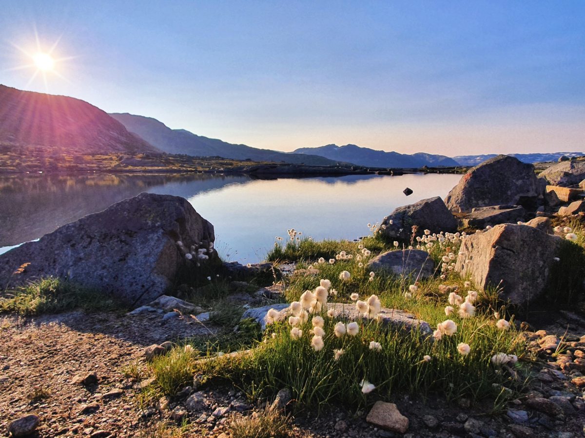 Hiking to Trolltunga, Norway (blog) - Travel with Anda